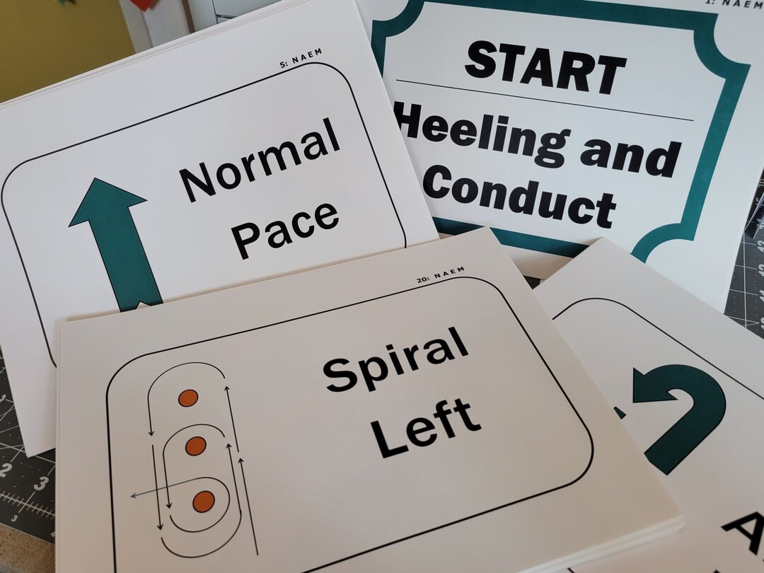 ASCA Rally Full Set Laminated - Etsy