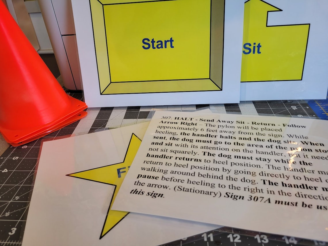 Doublesided Rally Signs Akc's Virtual NOVICE EXCELLENT Classes ...