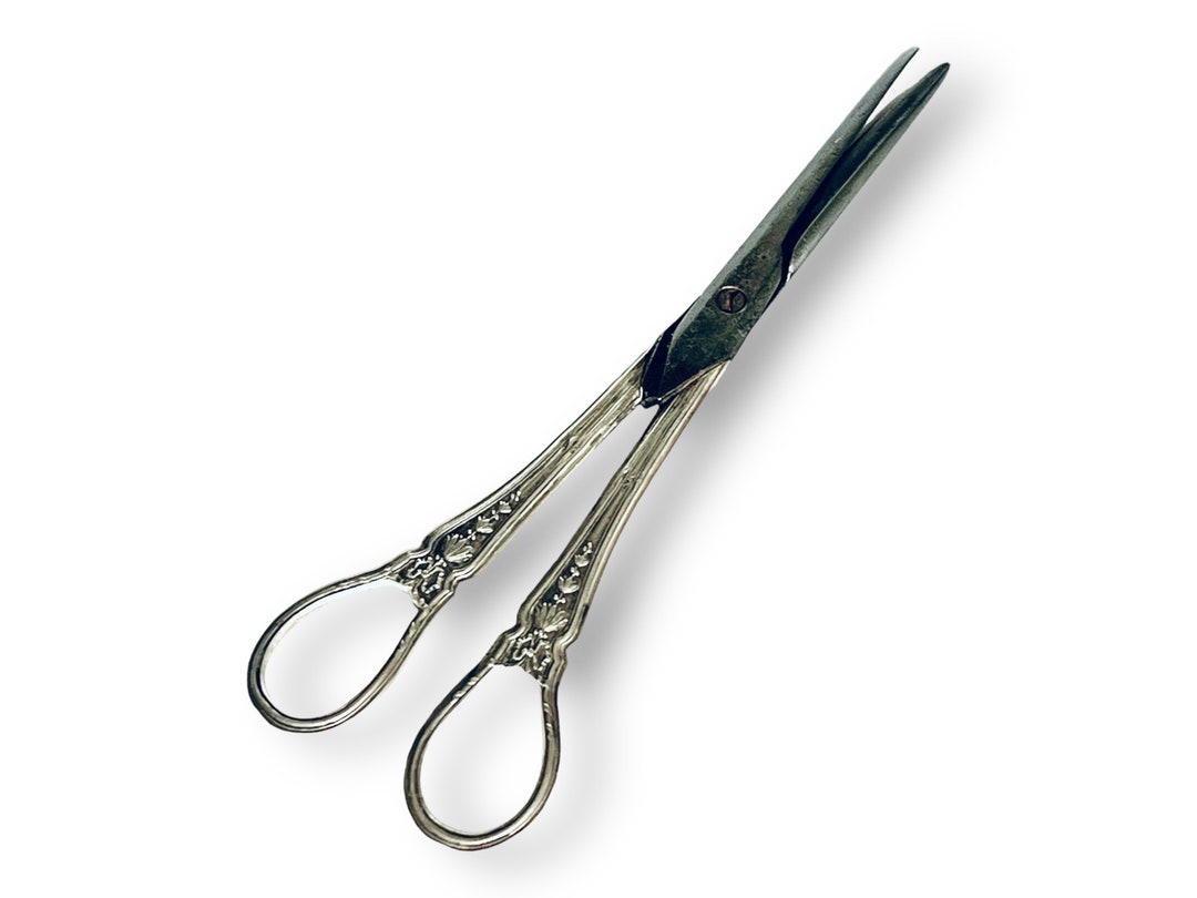 French Grape Shears With Silver Handles - Etsy