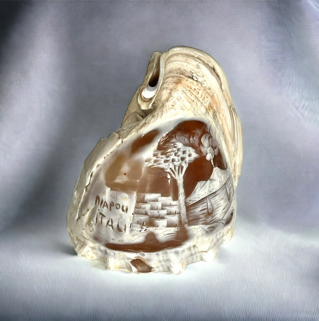 Vintage Italian Cameo Shell - Etsy