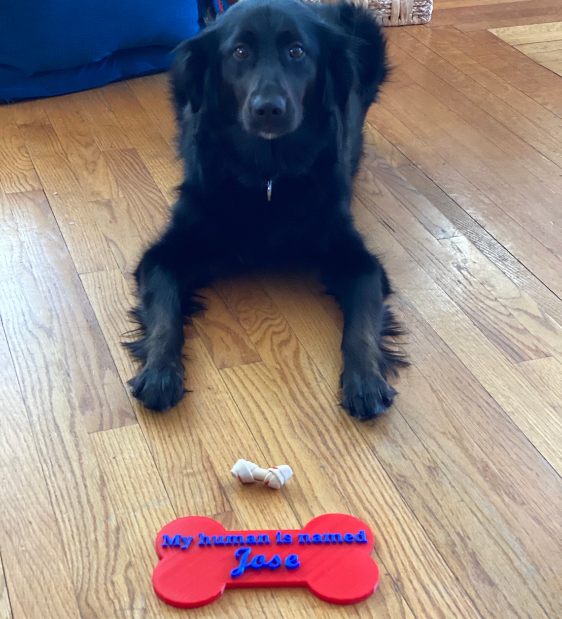 Dog Bone Sign Custom 3D Printed my Human is - Etsy