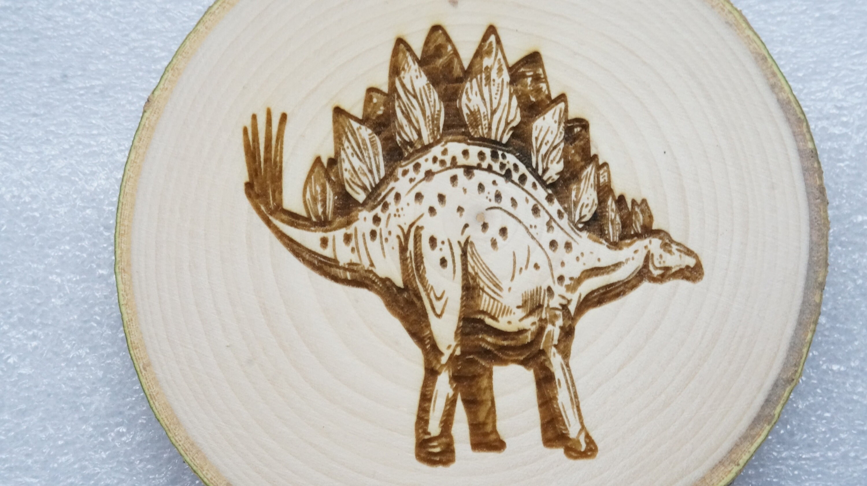 Color Your Own Wood Slice Stegosaurus Dinosaur Coloring Craft - Etsy