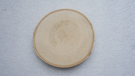 Made to Order 50 Birch 4-5 X 1/2 Thick Wood Slices | Etsy