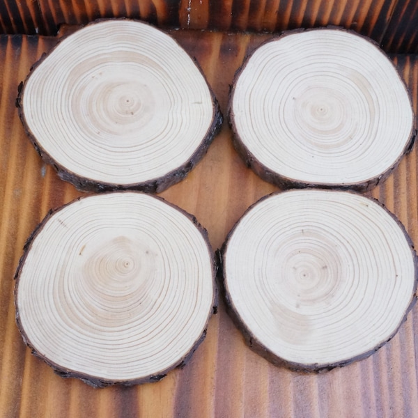 Pine Coasters - Etsy