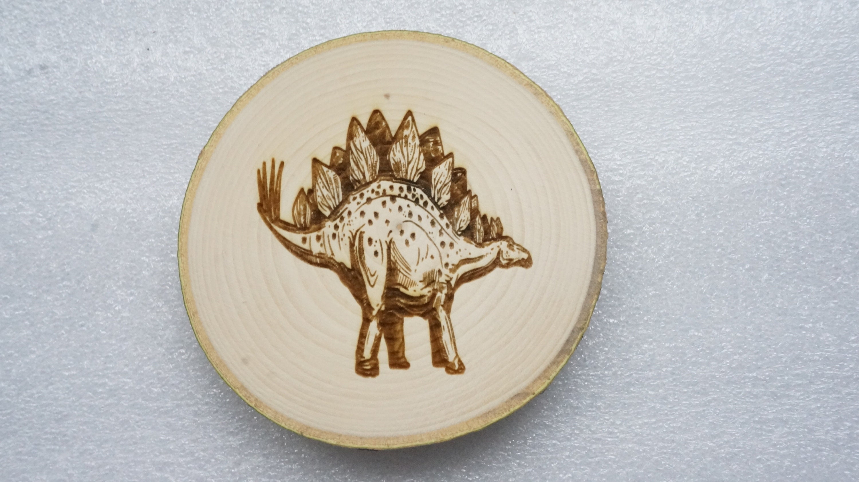 Color Your Own Wood Slice Stegosaurus Dinosaur Coloring Craft - Etsy