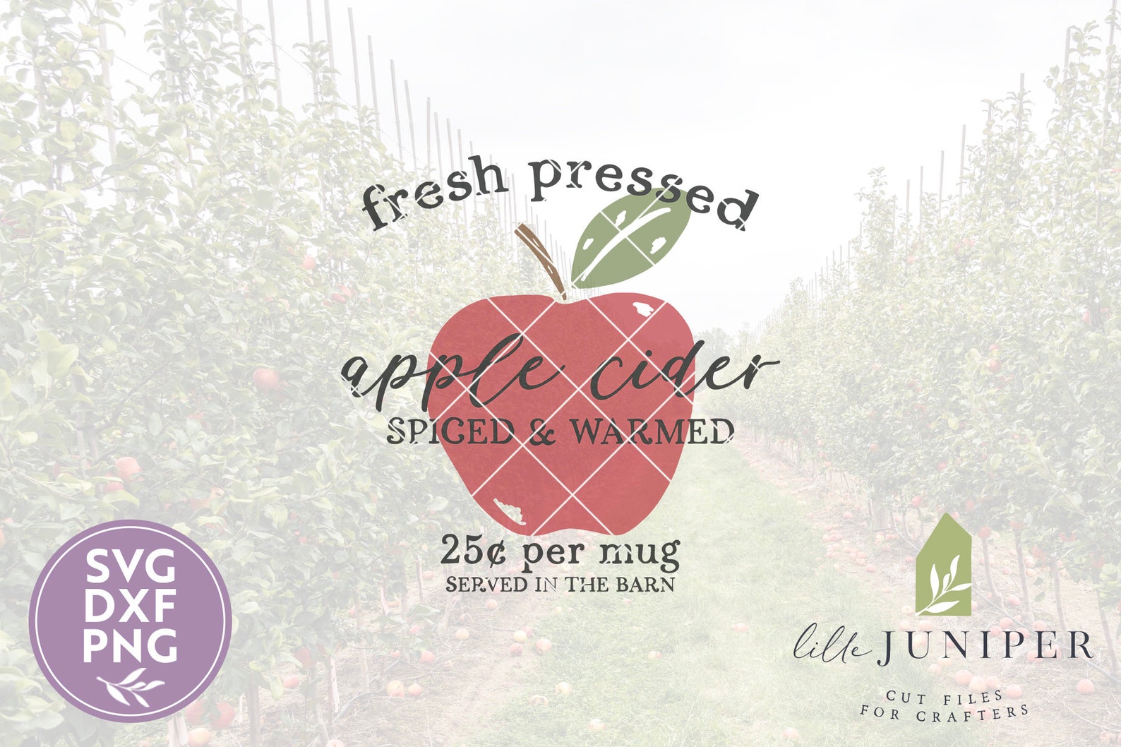 Apple Cider SVG Fall Svg Autumn Svg Apple Cider Sign SVG - Etsy