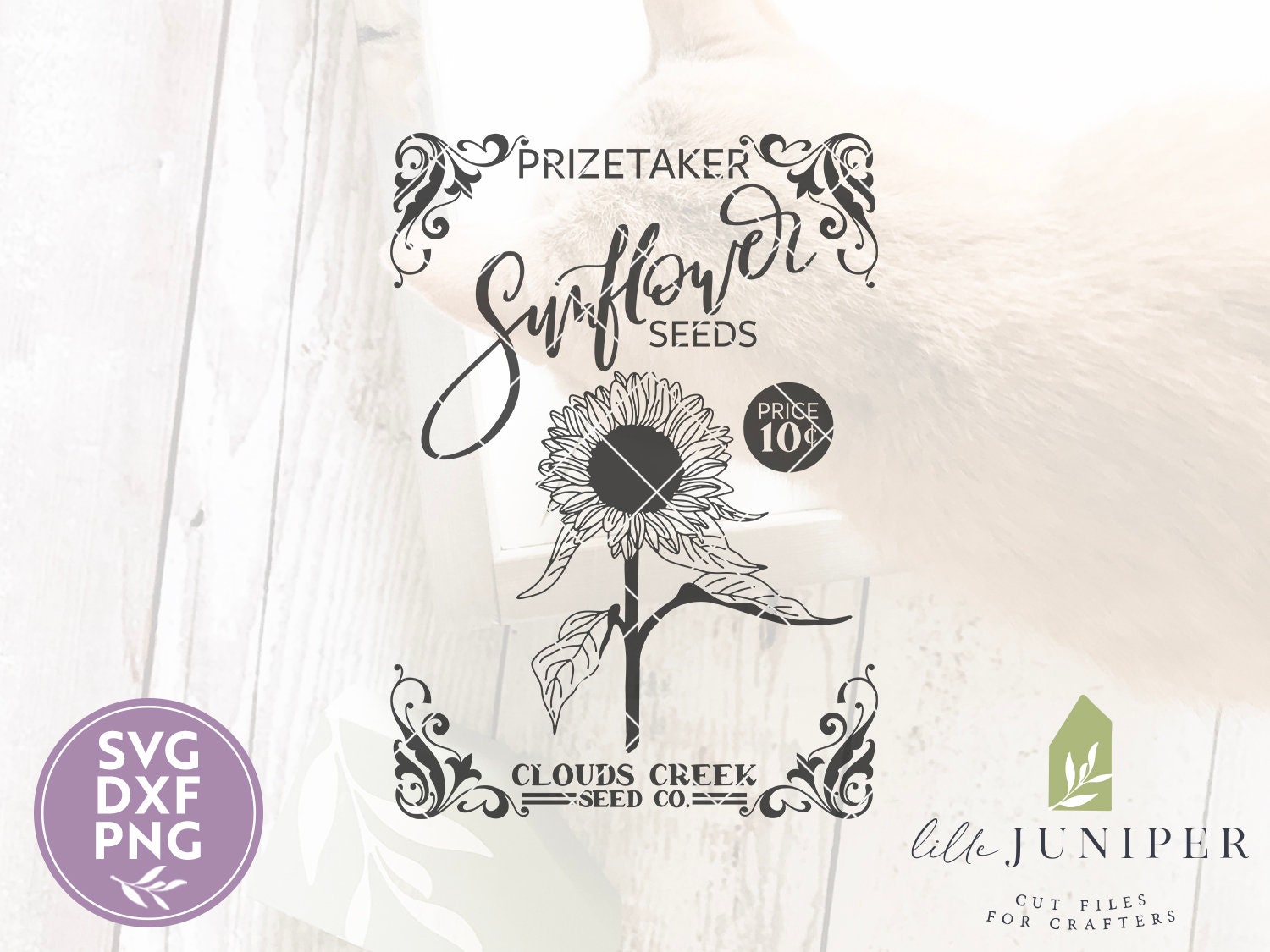 Sunflower Seed Packet SVG Files Vintage SVG Farmhouse svg | Etsy