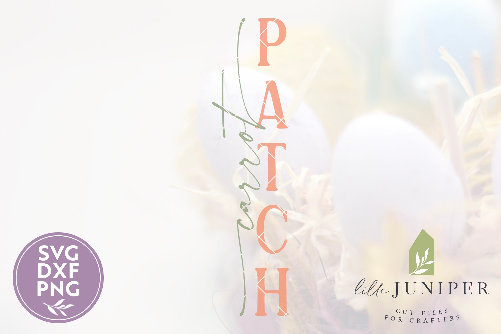 Carrot Patch SVG Easter Svg Vertical Sign SVG Front Porch - Etsy