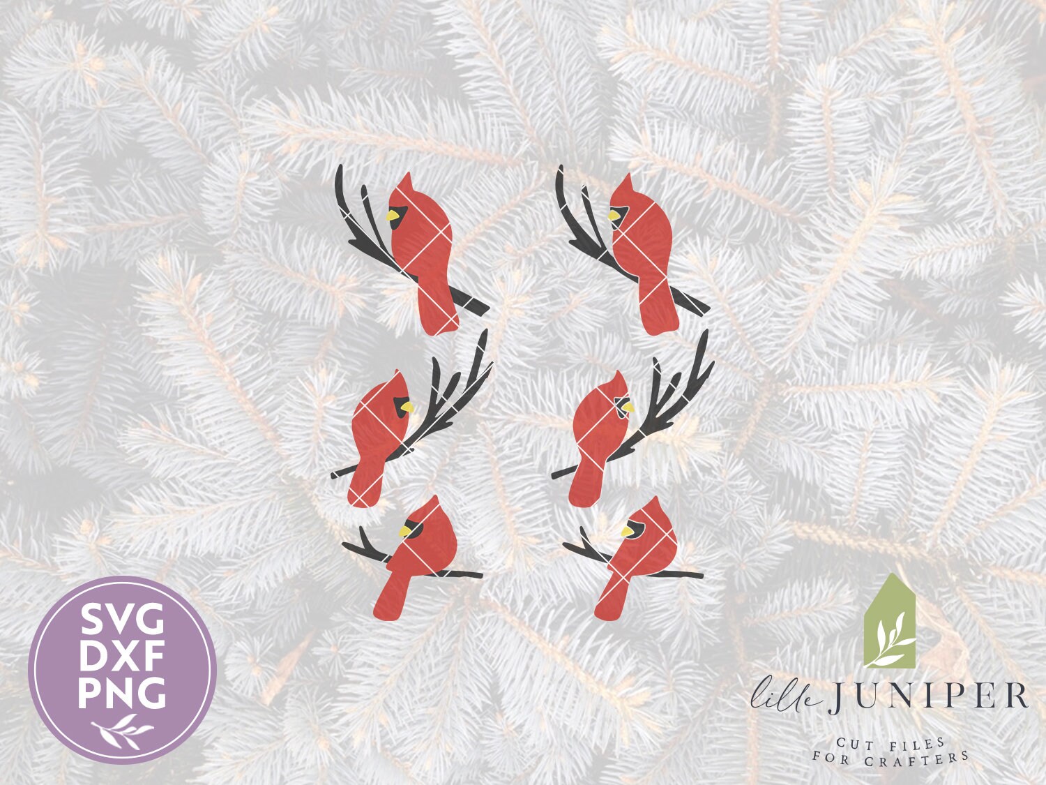 SVG FILES Cardinals Svg Farmhouse Christmas Birds Svg - Etsy