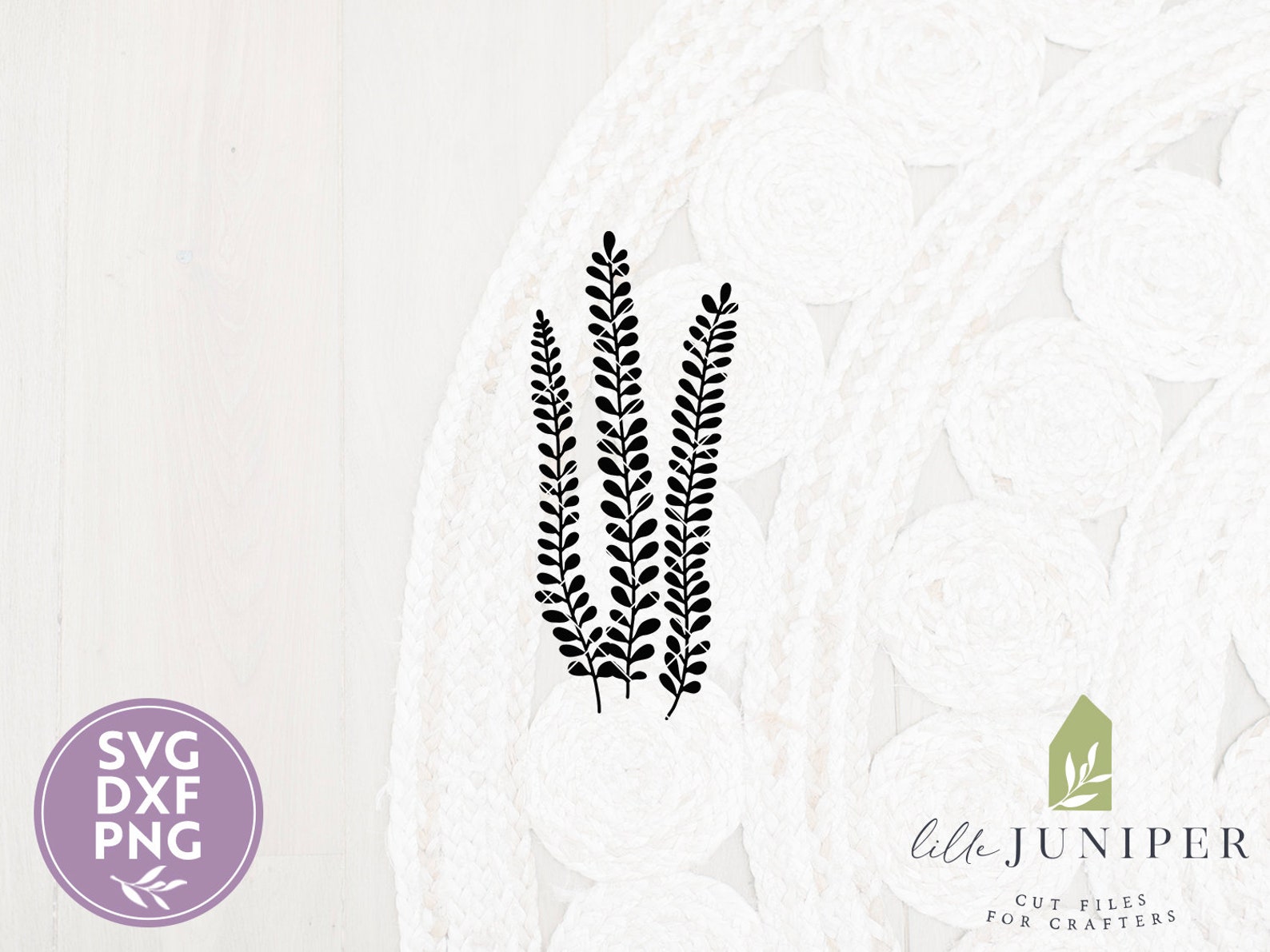 Pressed Ferns Svg Botanical SVG Spring Svg Farmhouse Cut - Etsy