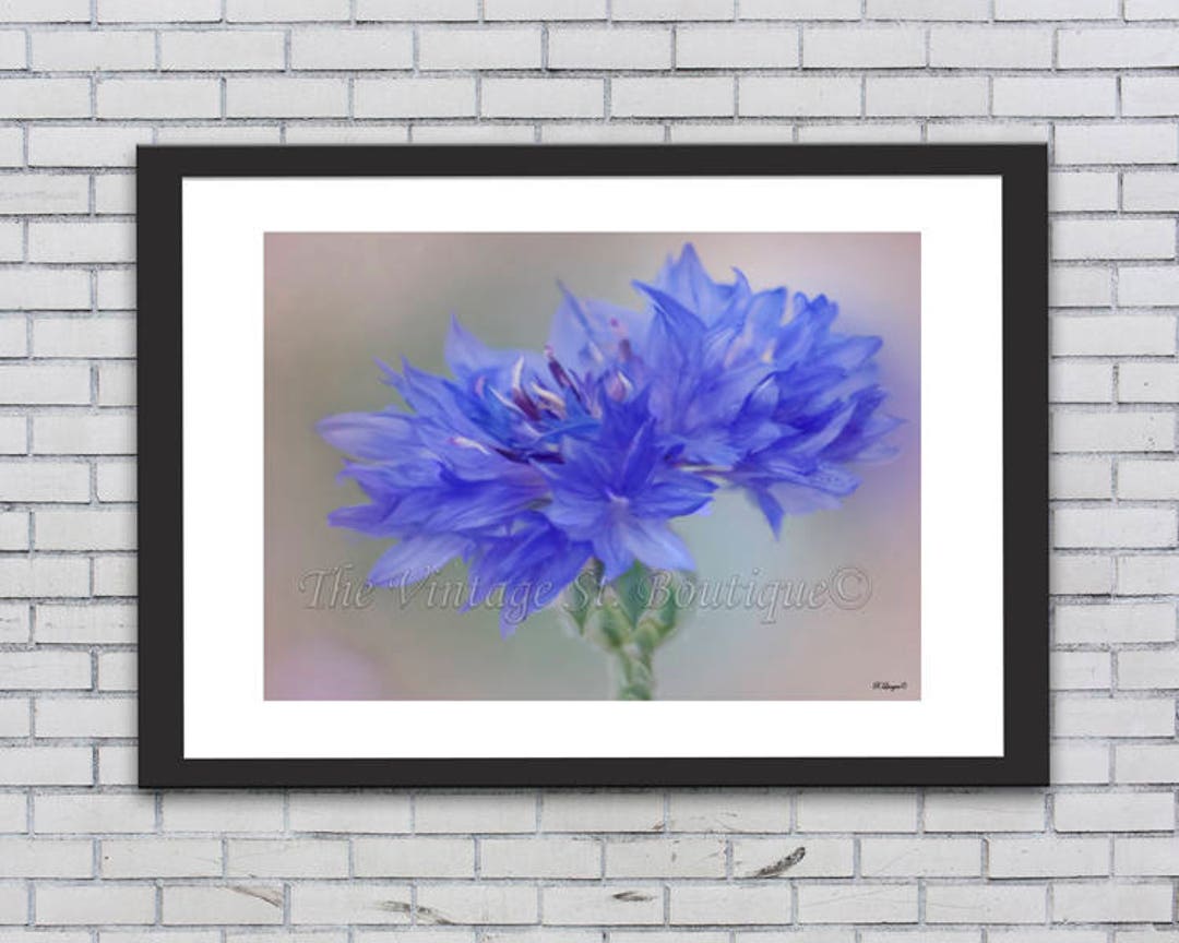 Print/ Flowers/ Blue Flower Print/ Floral/ Art/ Wall Art/ Nursery Art ...