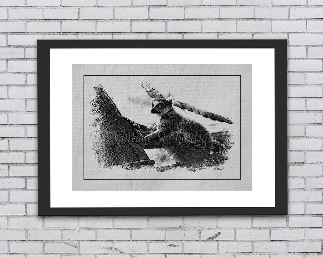 Printable Zoo Animals/prints/ Digital Prints/printable Wall Art/ Wild ...