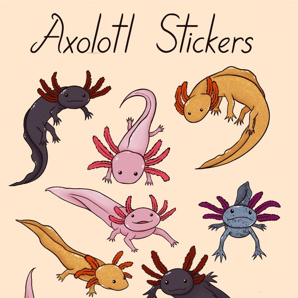 Axolotl Sticker - Etsy