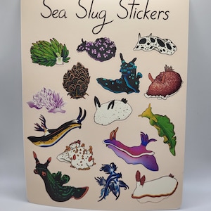 Sea Slug Sticker Sheet - Etsy