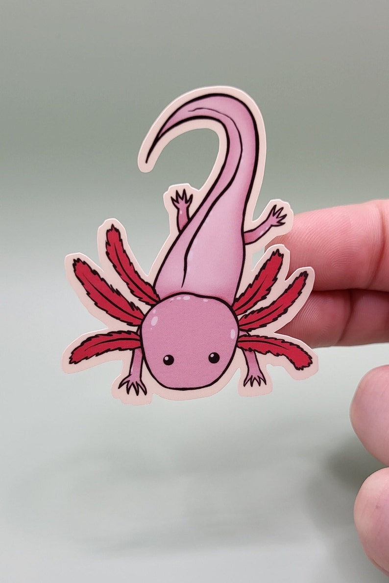 Axolotl Sticker Sheet - Etsy