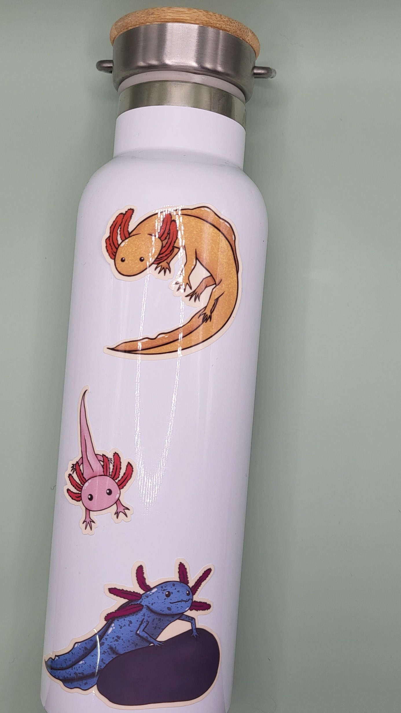 Axolotl Sticker Sheet - Etsy