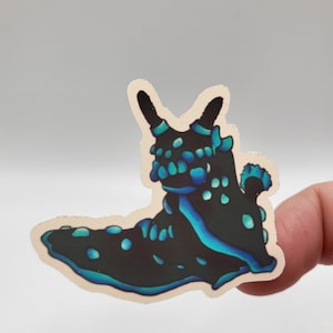 Sea Slug Sticker Sheet - Etsy