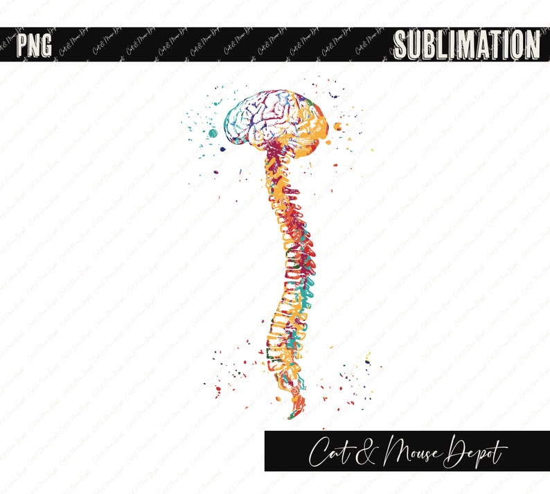 Brain Spinal Cord Color Splash Science PNG Sublimation - Etsy