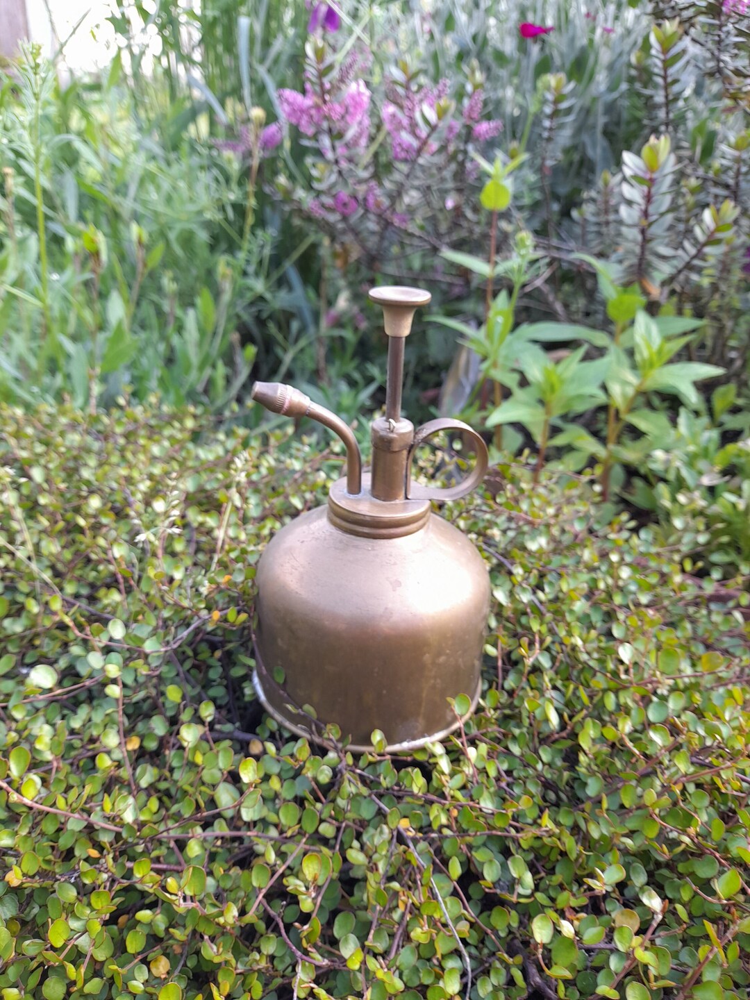 Vintage Brass Plant Mister Atomizer Pump Plant Watering Can Rustic ...