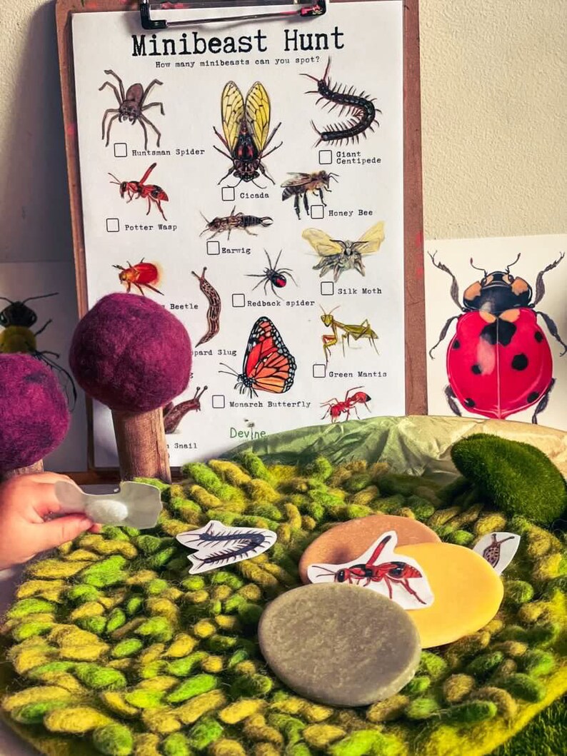 Australian Minibeast Insect Flashcards - Etsy
