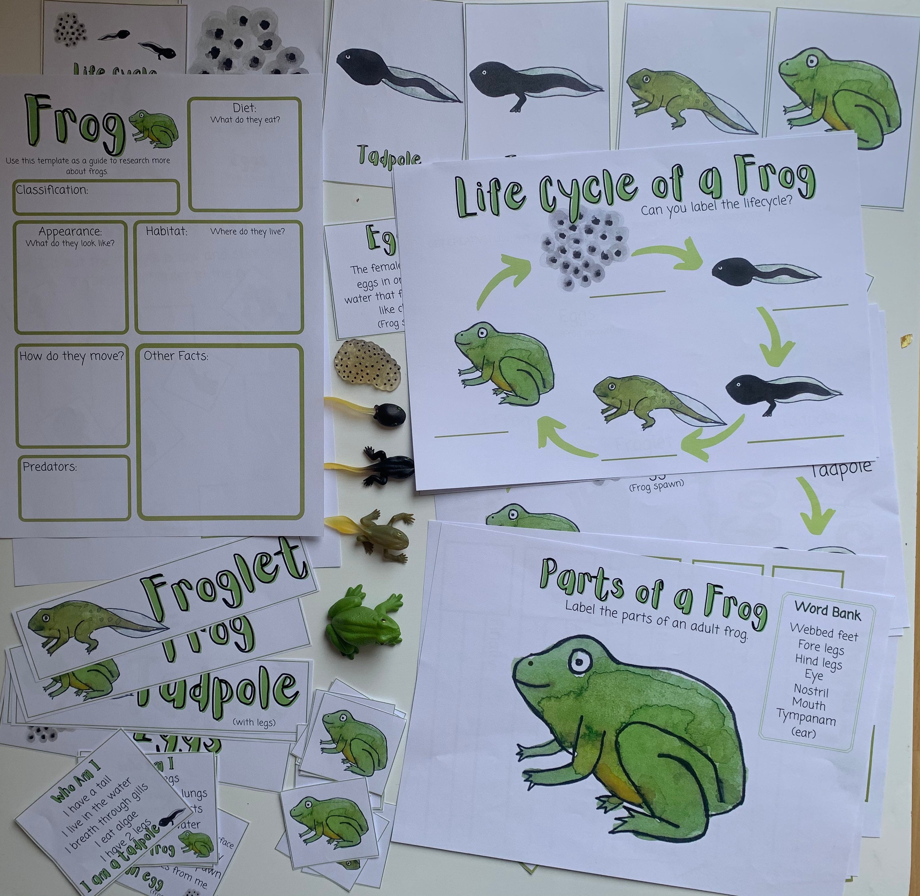 DIGITAL- Lifecycle of a Frog Homeschool Educational Bundle. - Etsy