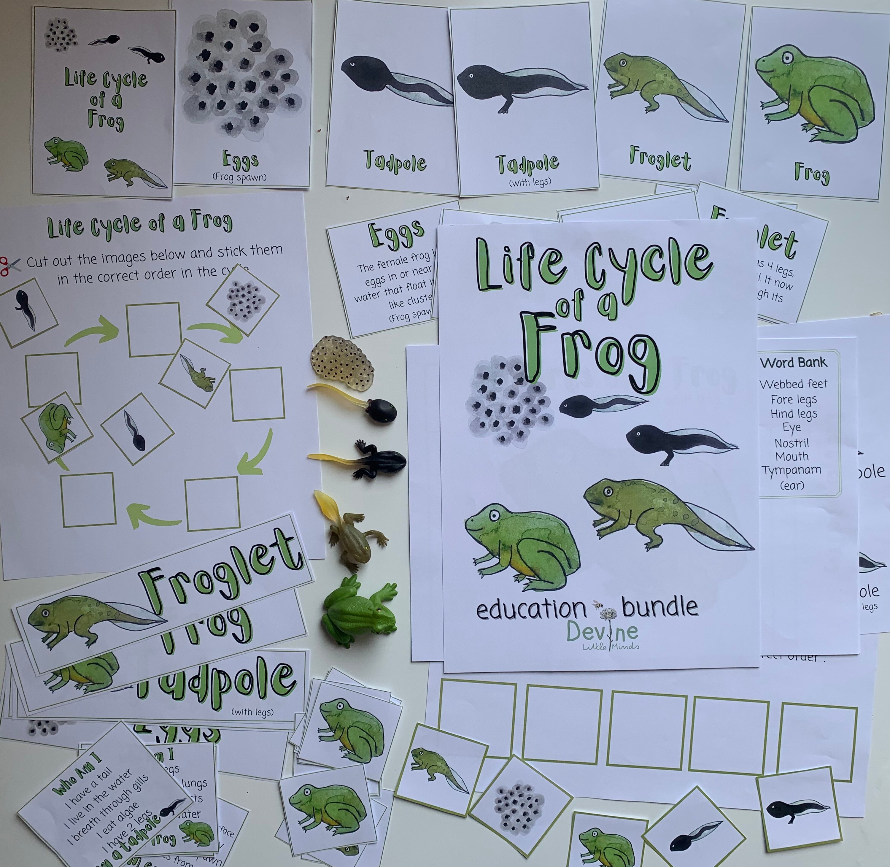 DIGITAL- Lifecycle of a Frog Homeschool Educational Bundle. - Etsy