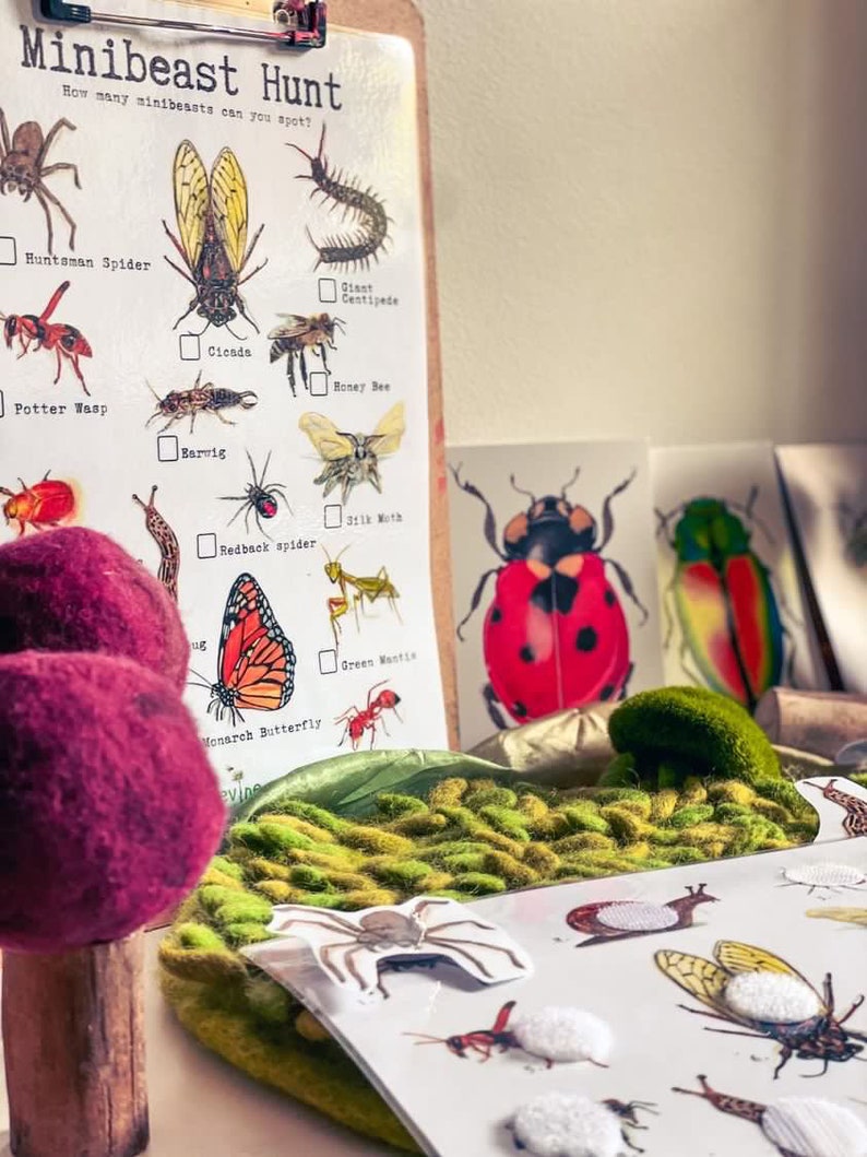 Australian Minibeast Insect Flashcards - Etsy