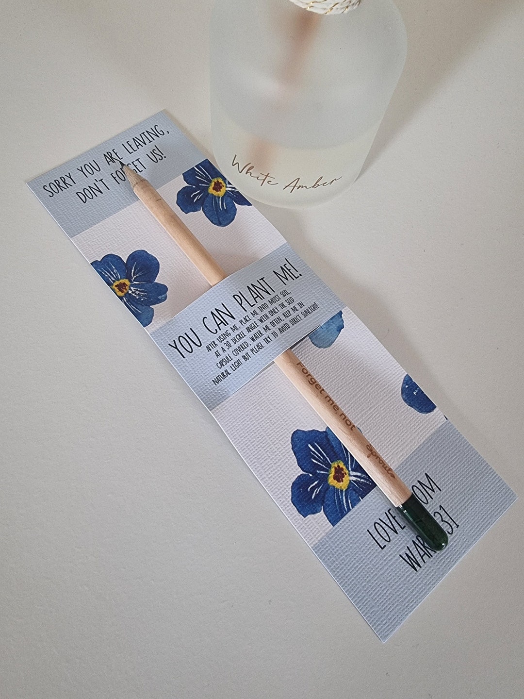 Plantable Seed Pencil Forget Me Not Gifts - Etsy