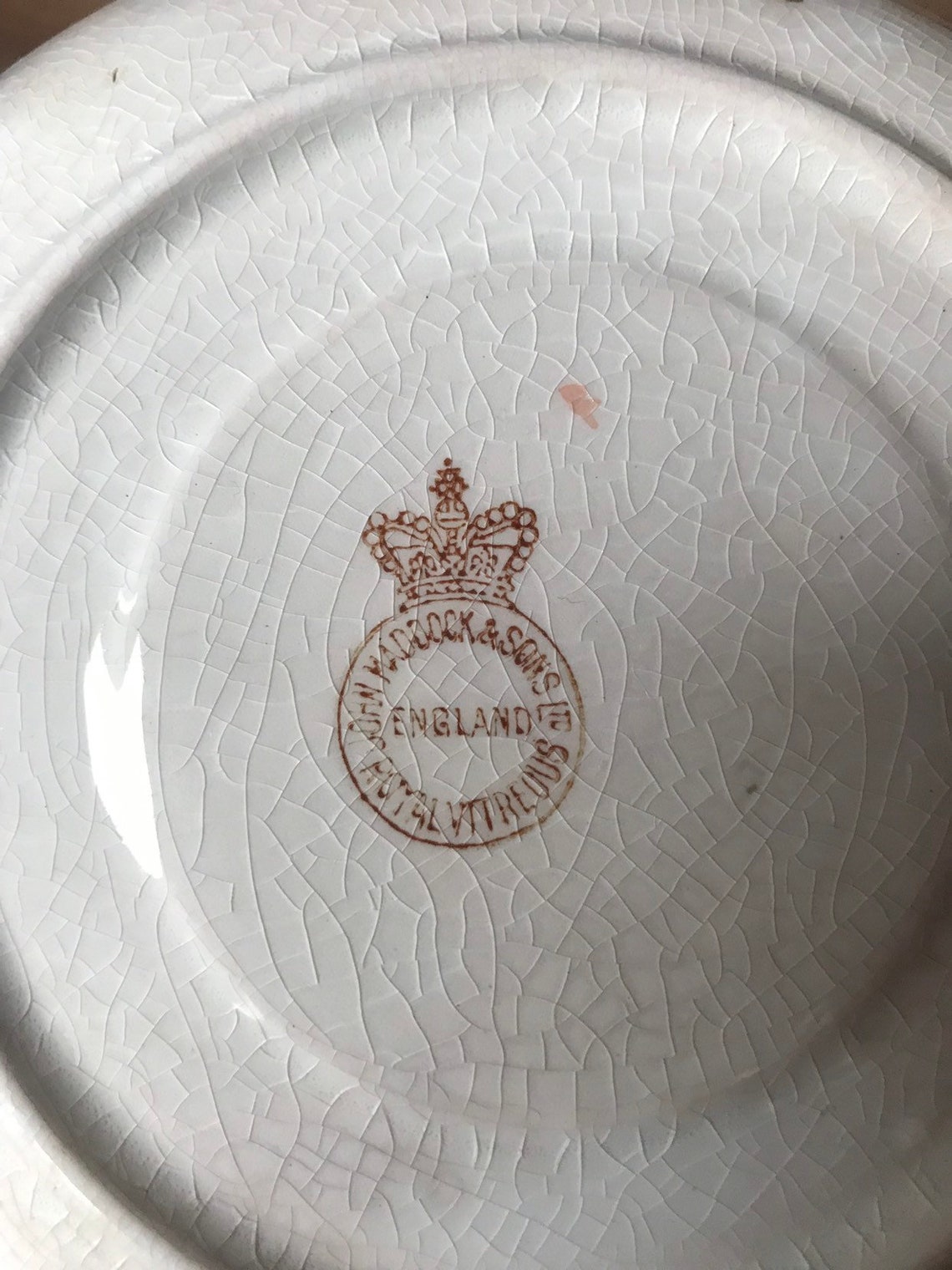 1896 John Maddock & Sons Royal Vitreous Flat Cup and Saucer - Etsy