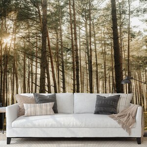 Sunny Forest Trees Wall Mural Wallpaper Peel and Stick Forest - Etsy