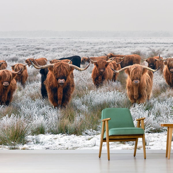 Cattle Wallpaper - Etsy