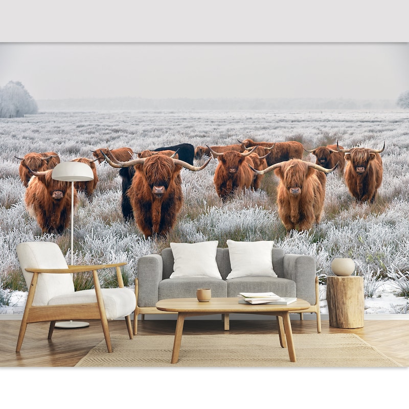 Highland Cow Wallpaper - Etsy