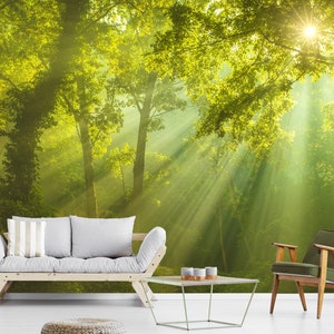 Sunny Forest Wall Mural Greenery Wallpaper Green Forest - Etsy