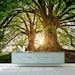 Large Trees Wall Mural Print Peel and Stick Self-adhesive Vinyl ...