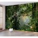 Rainforest Greenery Wall Mural Wallpaper Green Forest - Etsy
