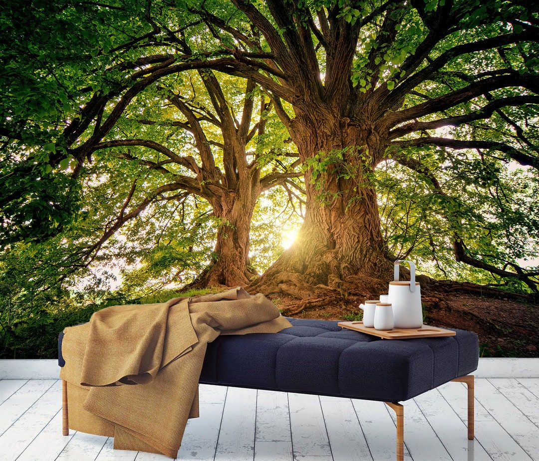 Large Trees Wall Mural Print Peel and Stick Vinyl Wallpaper, Forest ...