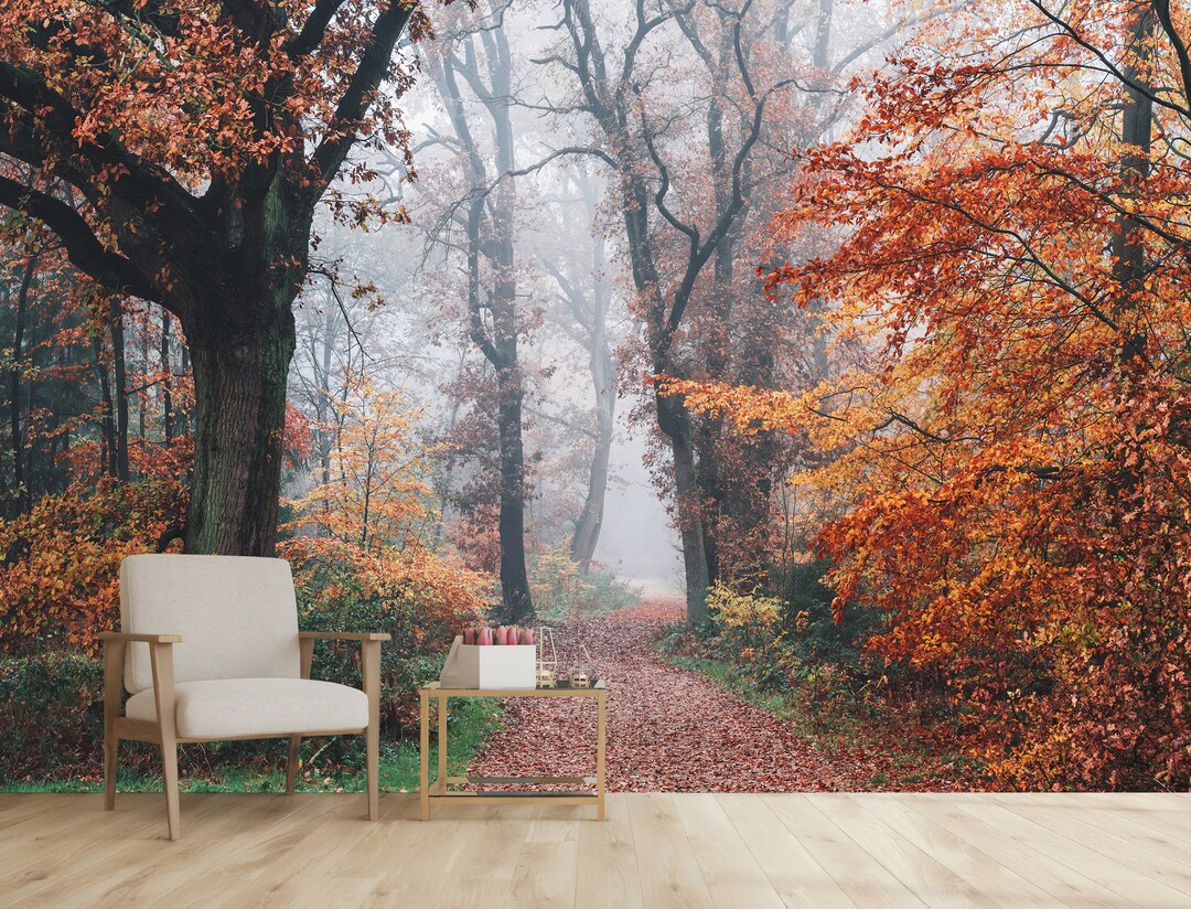 Autumn Forest Trees Fall Foliage Wall Mural Wallpaper Peel and Stick ...
