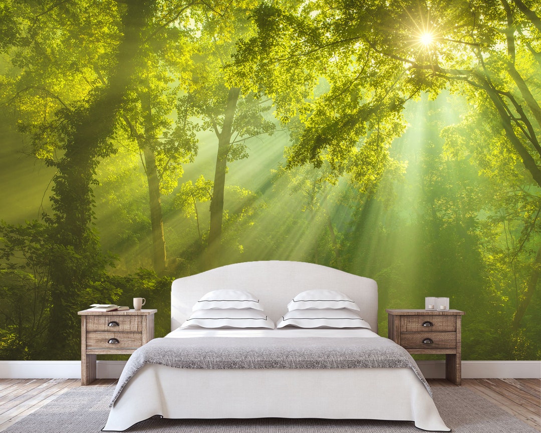 Sunny Forest Wall Mural Greenery Wallpaper Green Forest - Etsy
