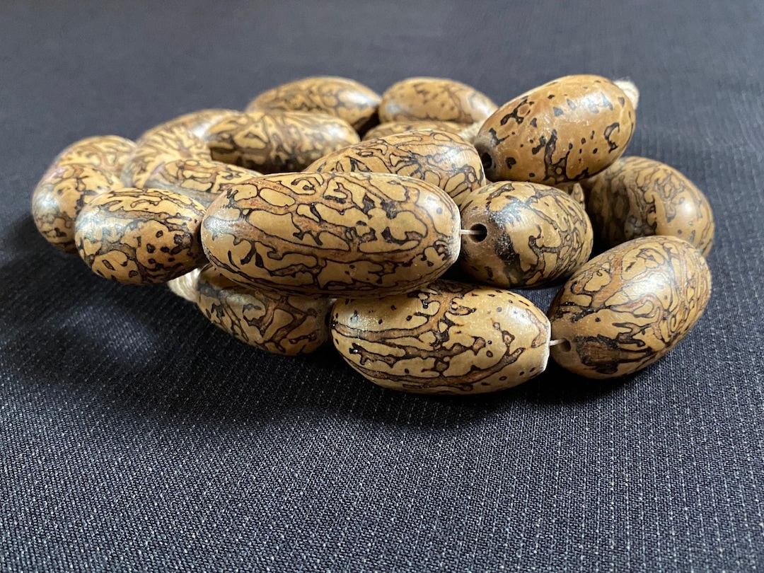 Big Kola Nut Beads, Raffia Palm Nut Beads , West-african Nut Beads - Etsy
