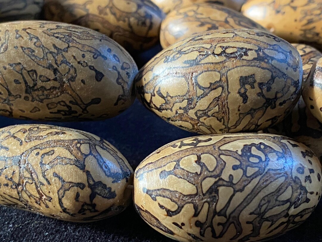 Big Kola Nut Beads, Raffia Palm Nut Beads , West-african Nut Beads - Etsy