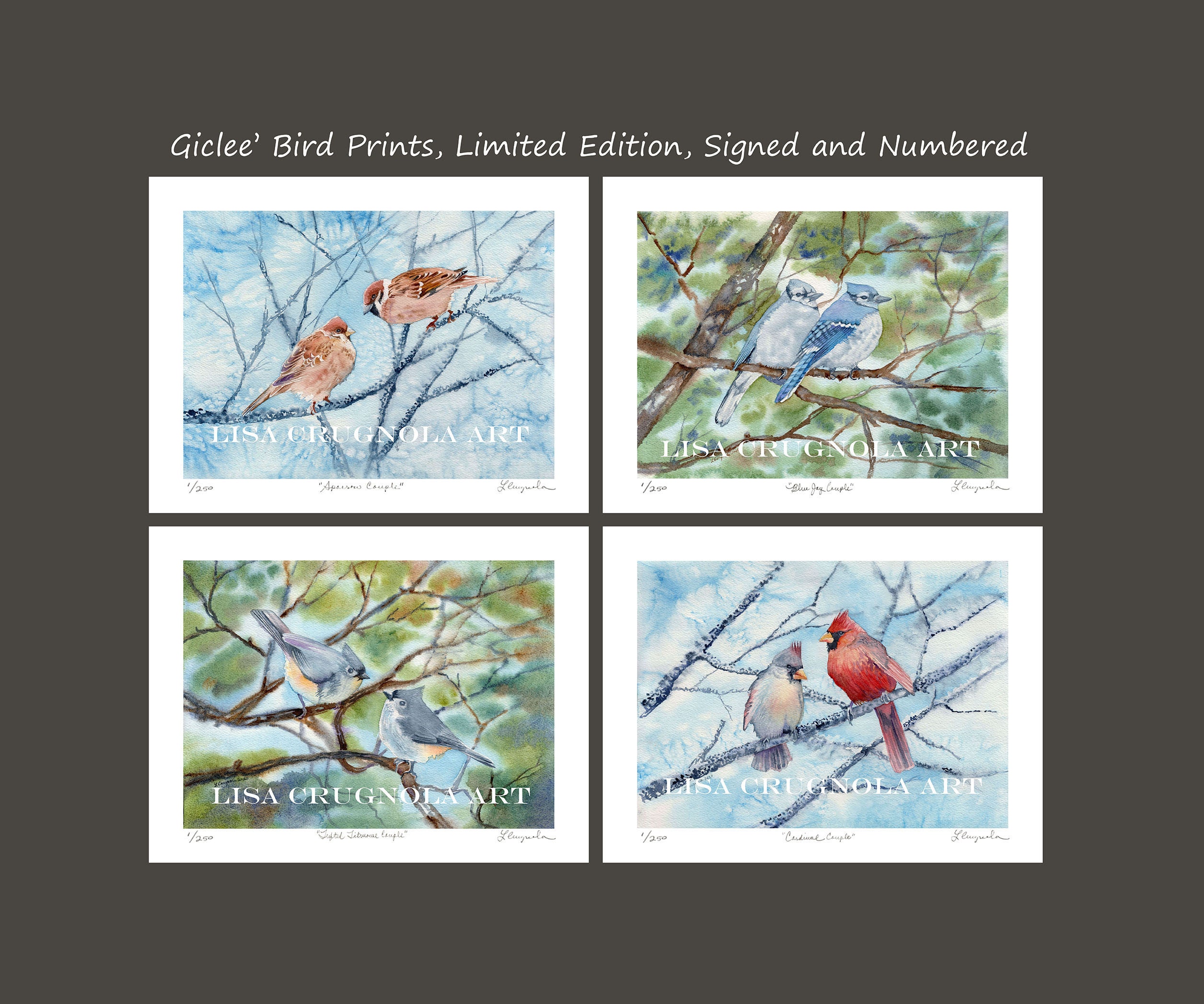 Giclée Bird Prints, Limited Edition, Signed and Numbered - Etsy Singapore
