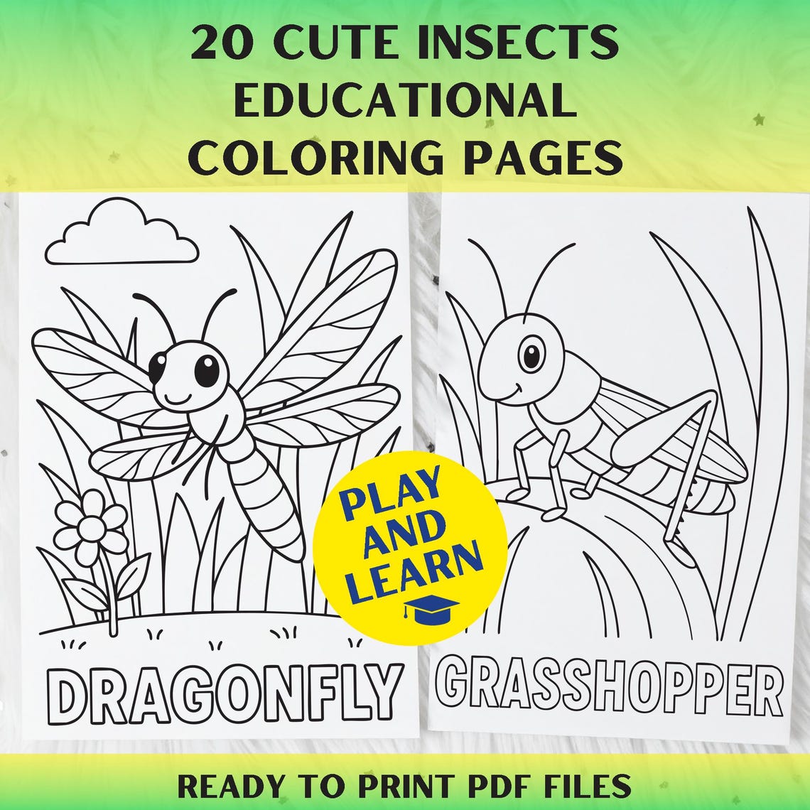 Insects Coloring Pages for Kids – 20 Printable Educational Worksheets ...