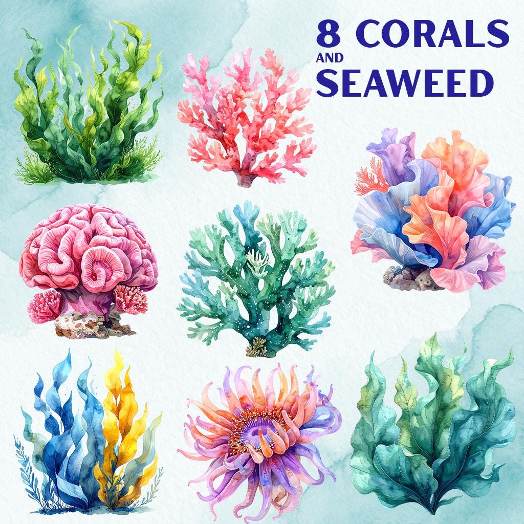 Watercolor Ocean Life Clipart Bundle | Sea Animals, Fish, Coral ...