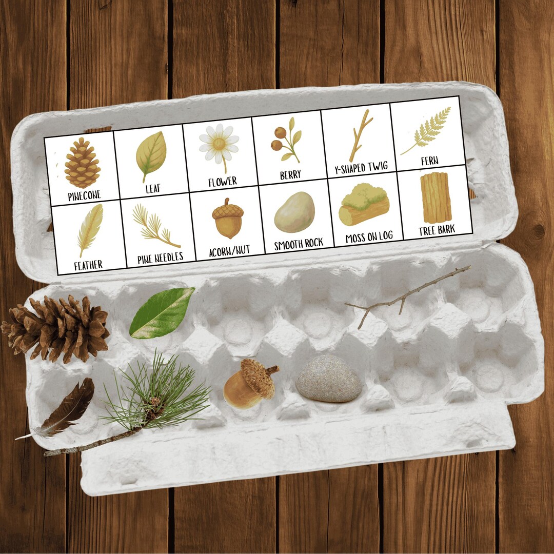 Egg Carton Nature Scavenger Hunt: Outdoor Kids Game (PDF Printable ...