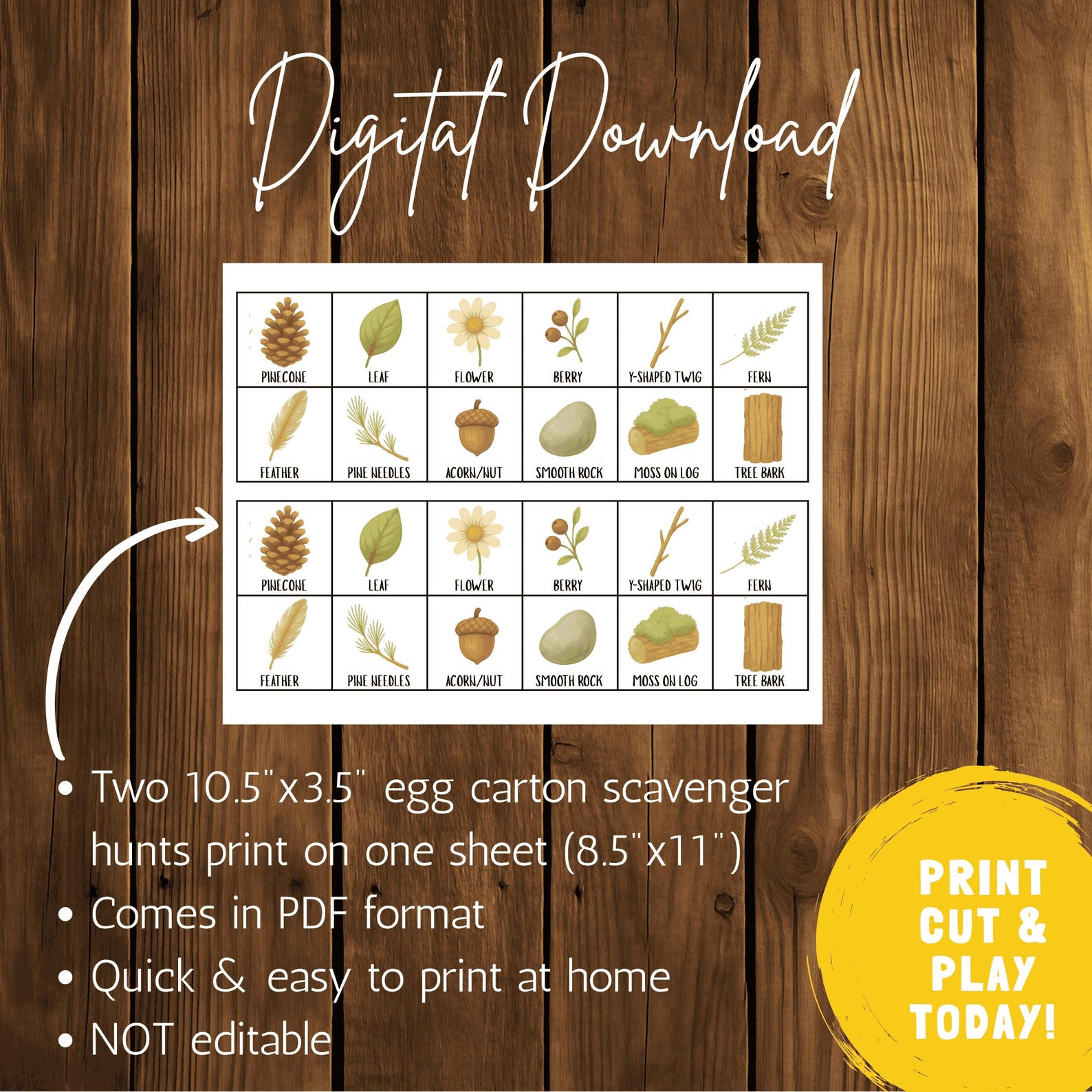 Egg Carton Nature Scavenger Hunt: Outdoor Kids Game (PDF Printable ...