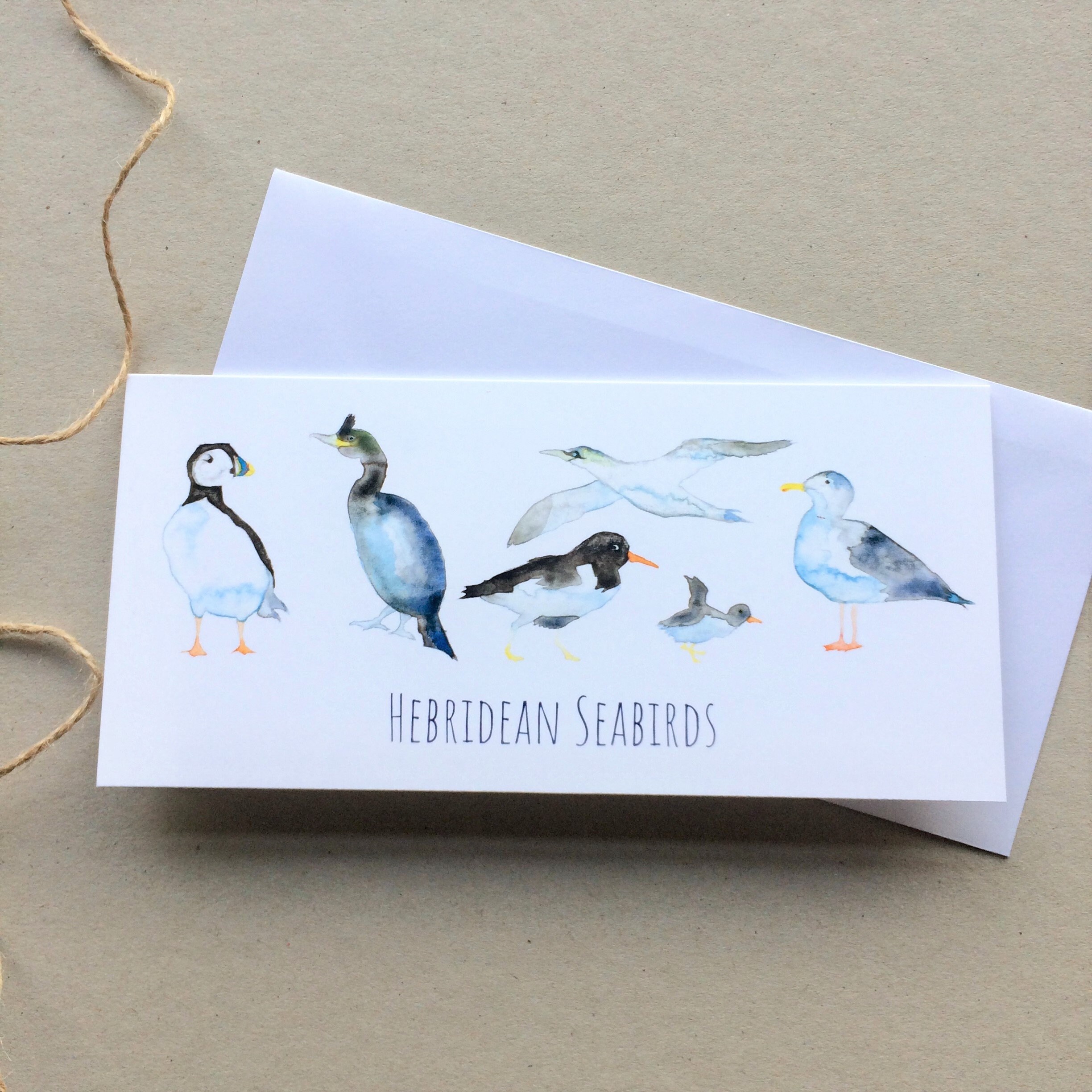 Seabird Card Greeting Card Hebridean Seabird Design - Etsy UK