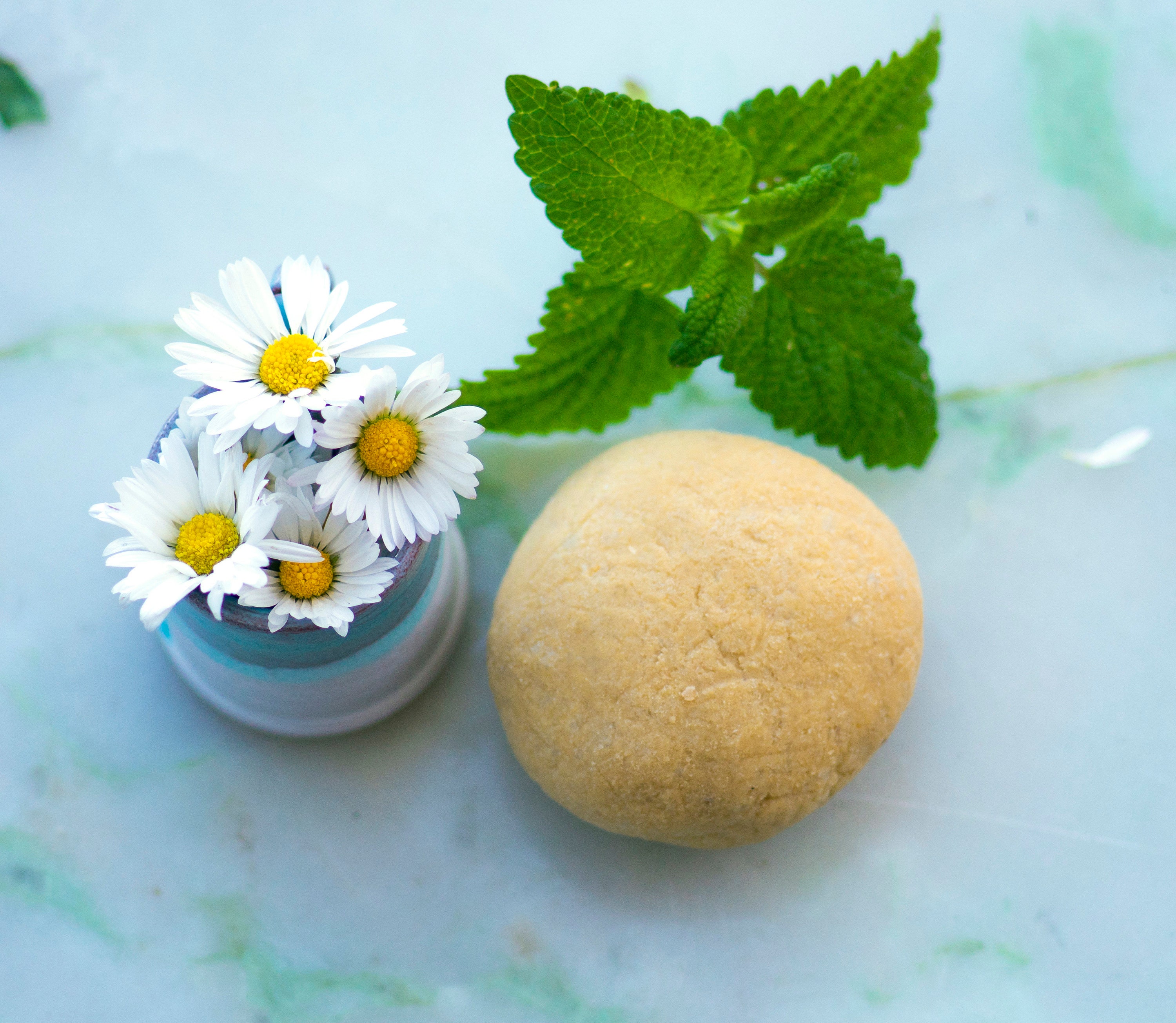 Oily Hair Organic Shampoo Bar Herbal Solid Shampoo Vegan Etsy