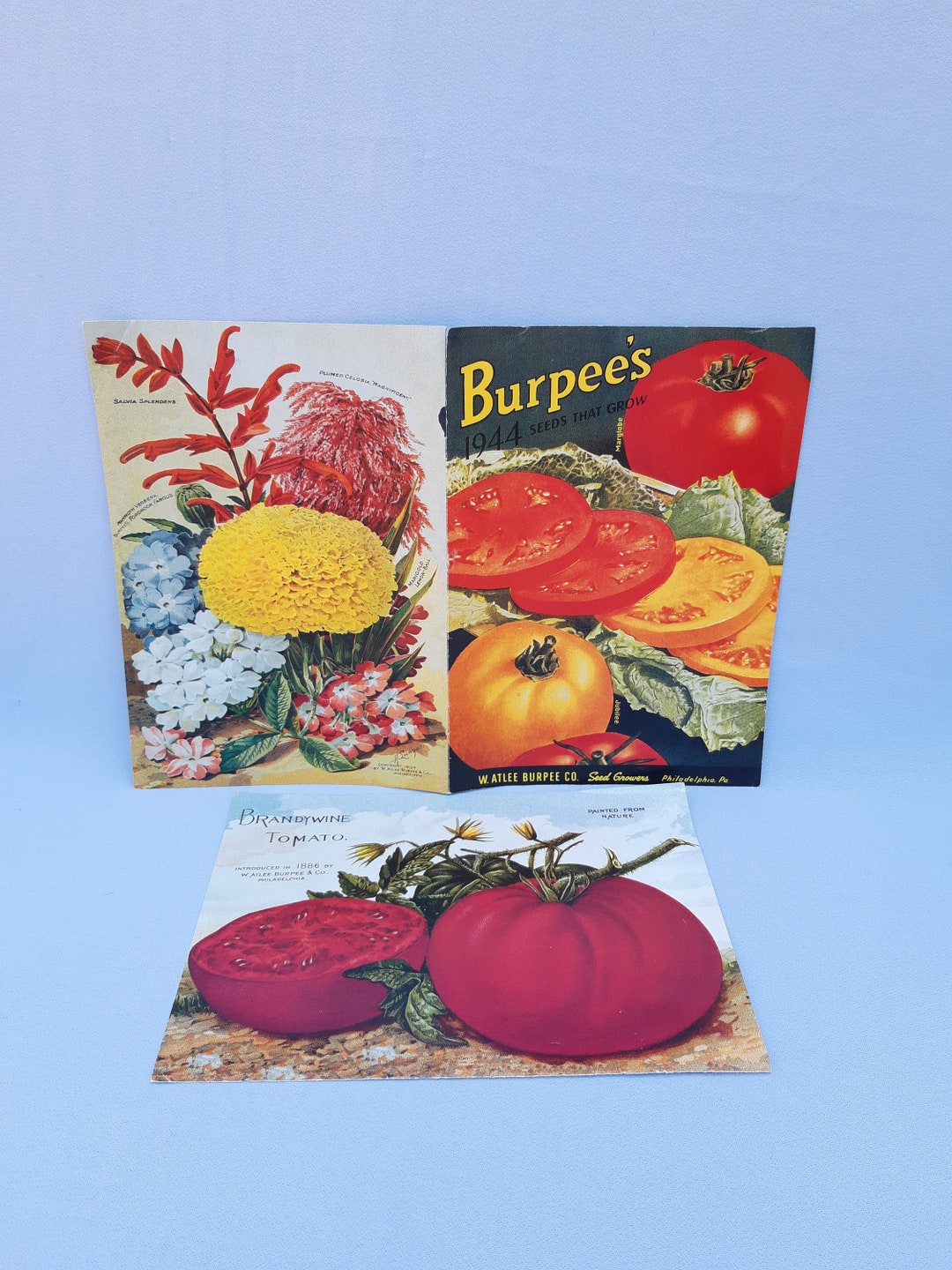 1944 Burpee Seed Catalogue Artwork. 3 Pages 6 Sides. W. Atlee Burpee Co ...