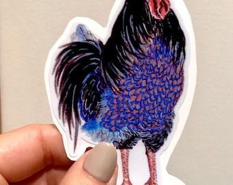 Rooster Sticker Pack Laminated Vinyl Waterproof Stickers - Etsy