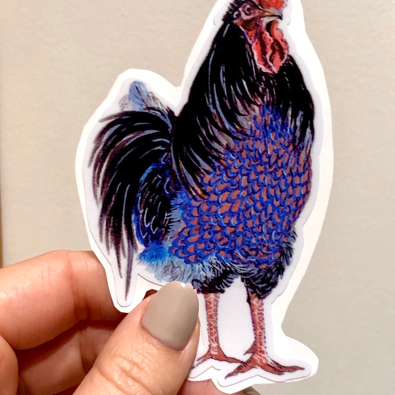 Rooster Decals - Etsy